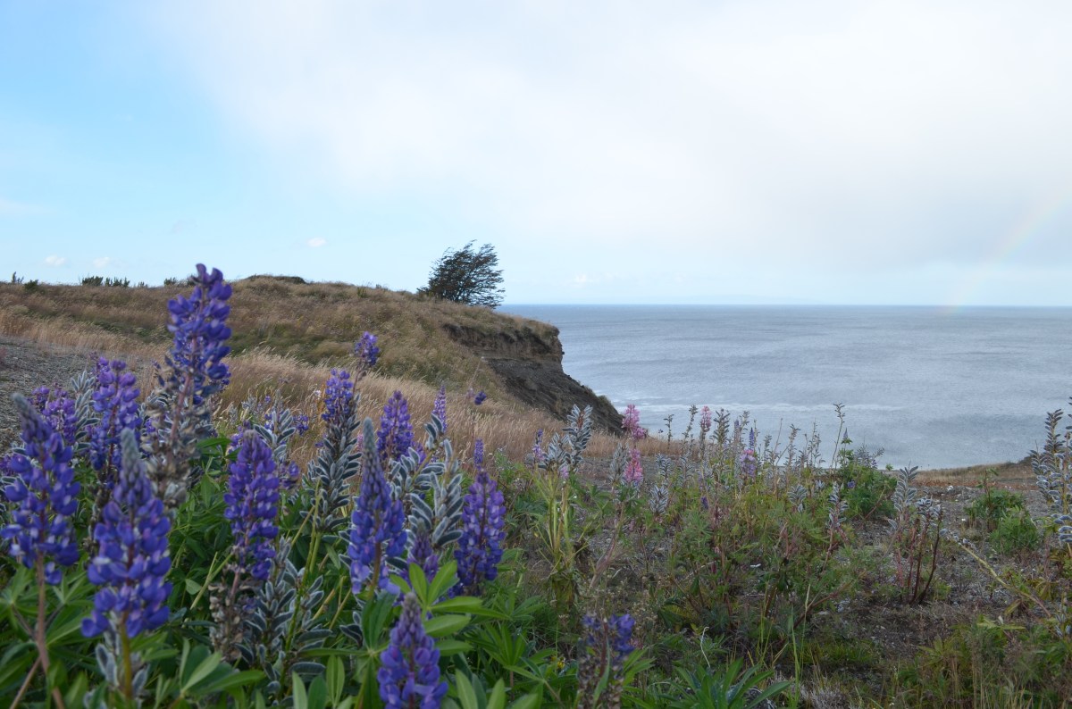 Fresh from the field! | The 3D lab