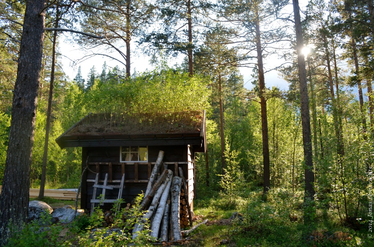 The little hut in the forest | The 3D lab