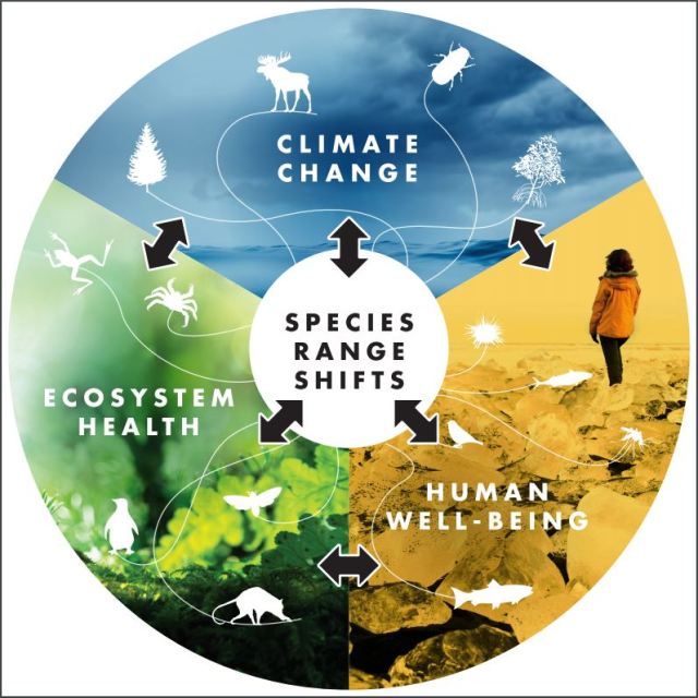 Species on the move | The 3D lab