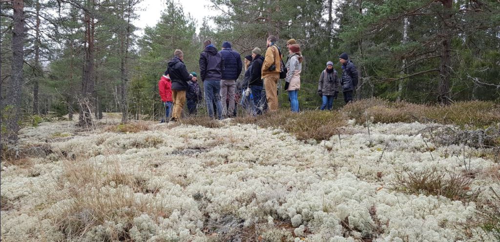 Taking the temperature of forest microclimate research | The 3D lab