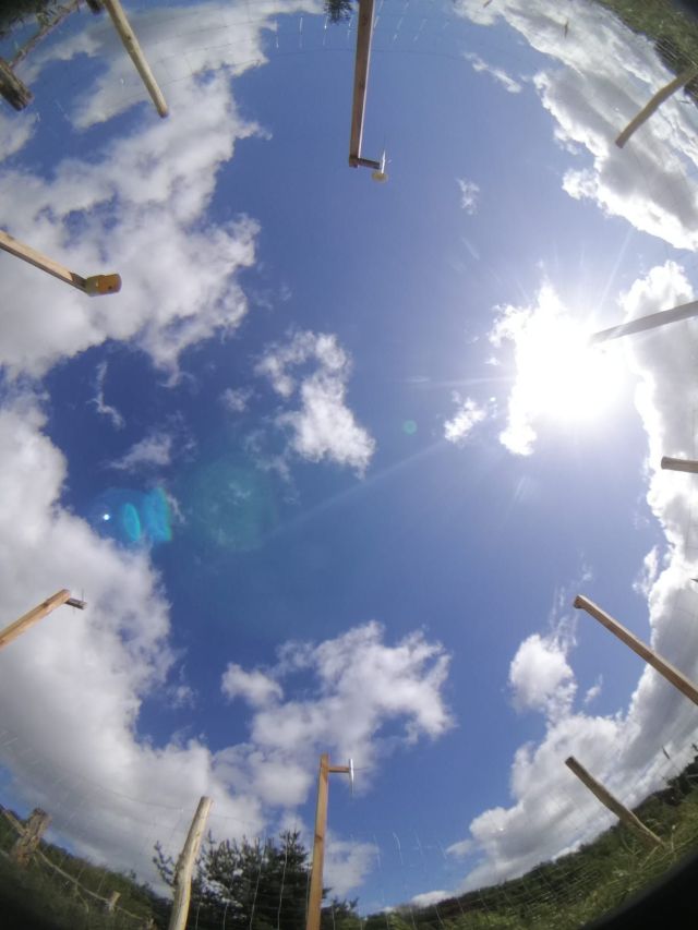 On the measurement of microclimate | The 3D lab