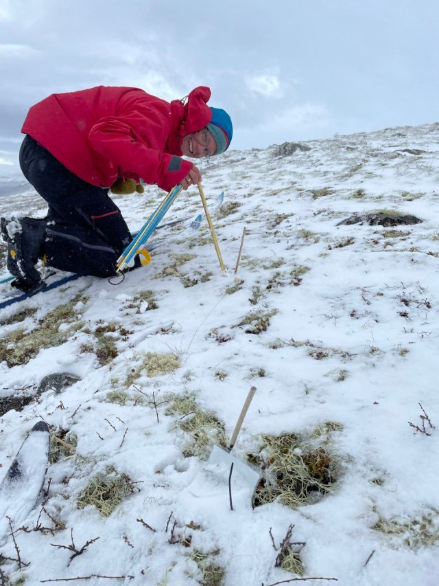 Cold fieldwork news | The 3D lab