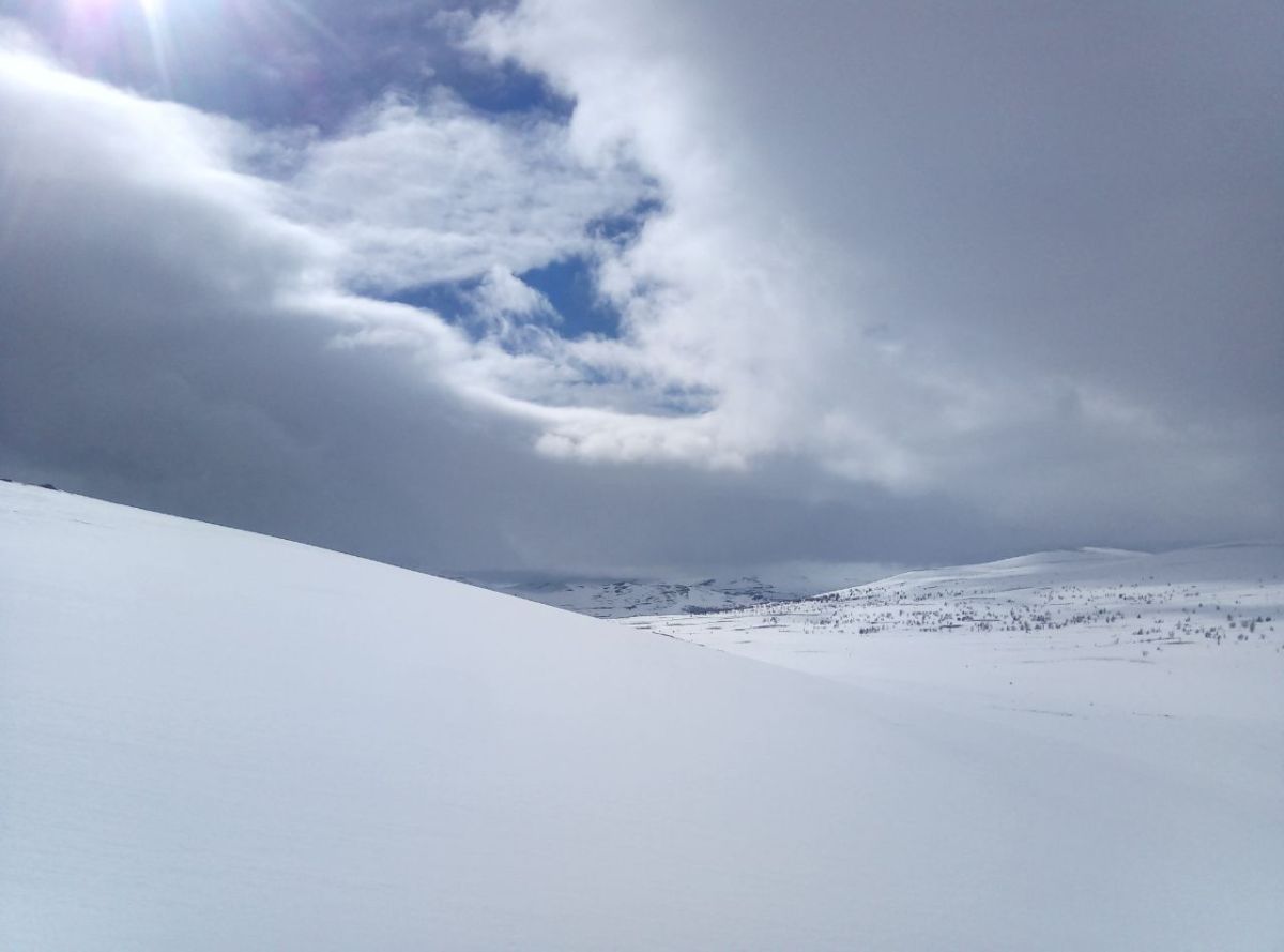 Cold fieldwork news | The 3D lab