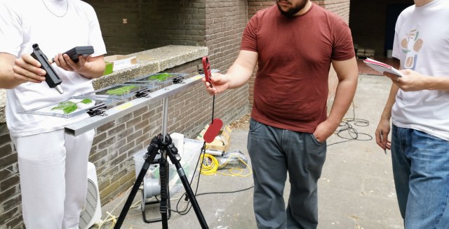 The energy balance of a leaf | The 3D lab