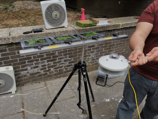 The energy balance of a leaf | The 3D lab