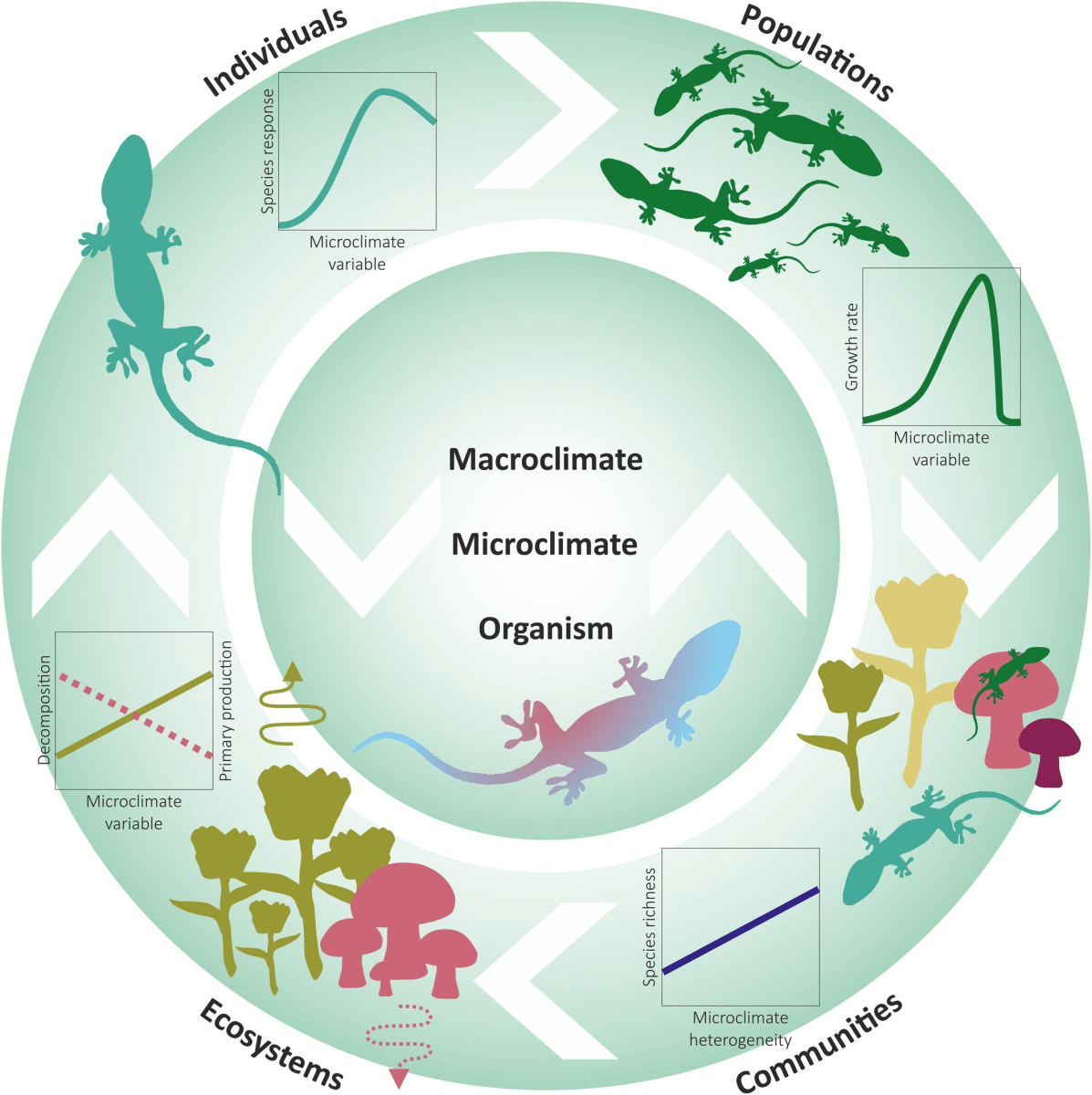 Microclimate, an important part of ecology and biogeography | The 3D lab