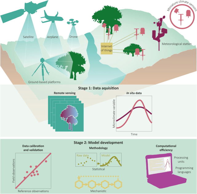 Microclimate, an important part of ecology and biogeography | The 3D lab