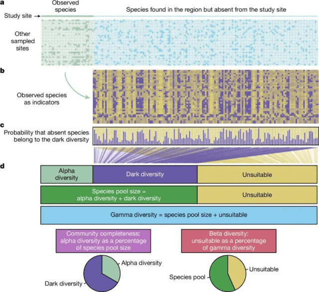 Global impoverishment of natural vegetation revealed by ‘dark diversity ...