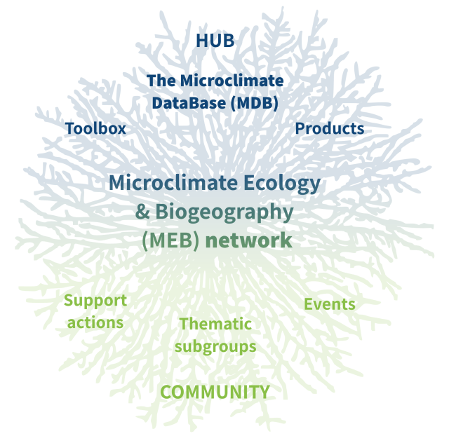 SoilTemp is now MEB! | The 3D lab